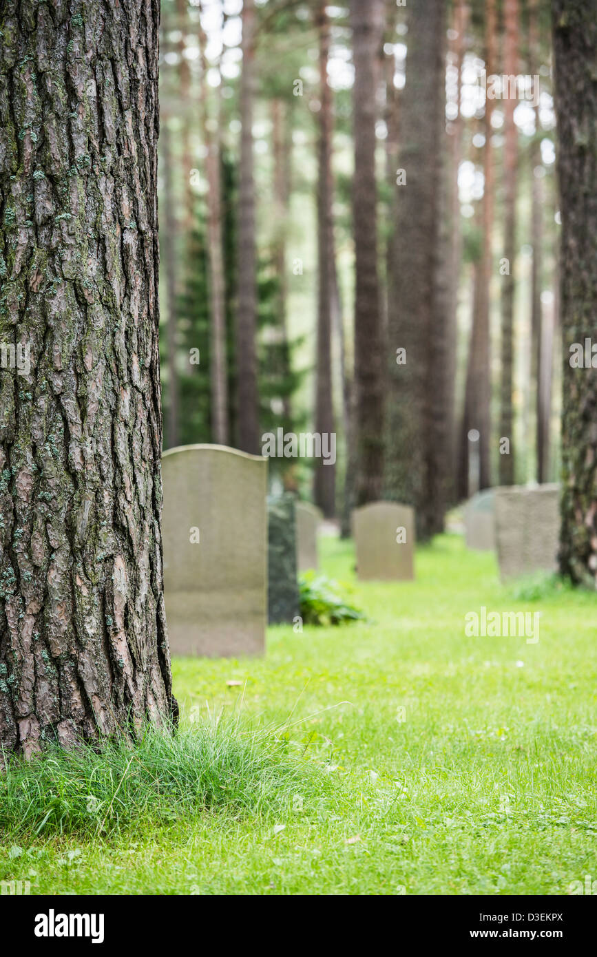 Grave stones and trees at skogskyrkogarden forest cemetery in Stockholm ...