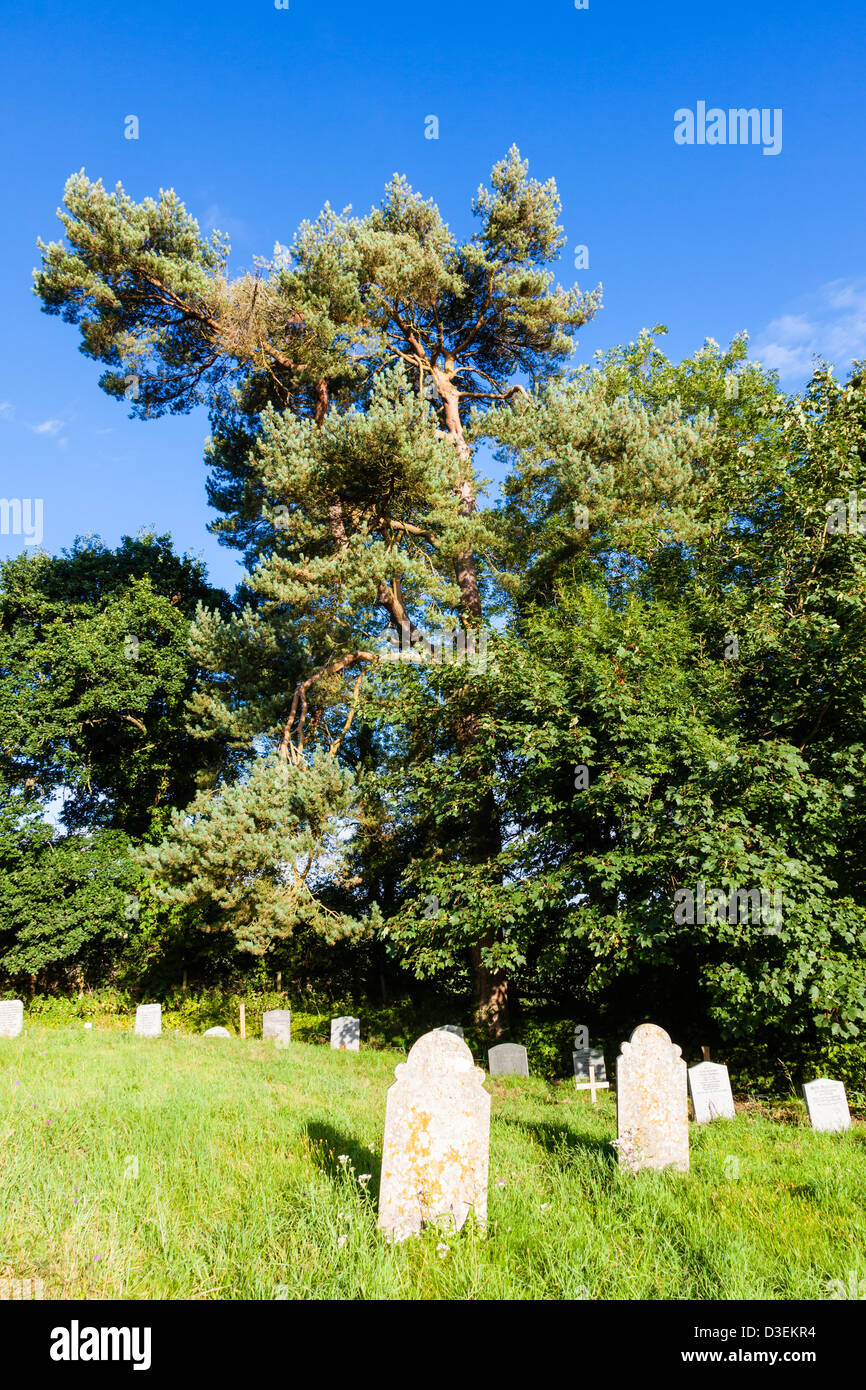 Throwleigh Churchyard and Church, Devon, UK Stock Photo - Alamy