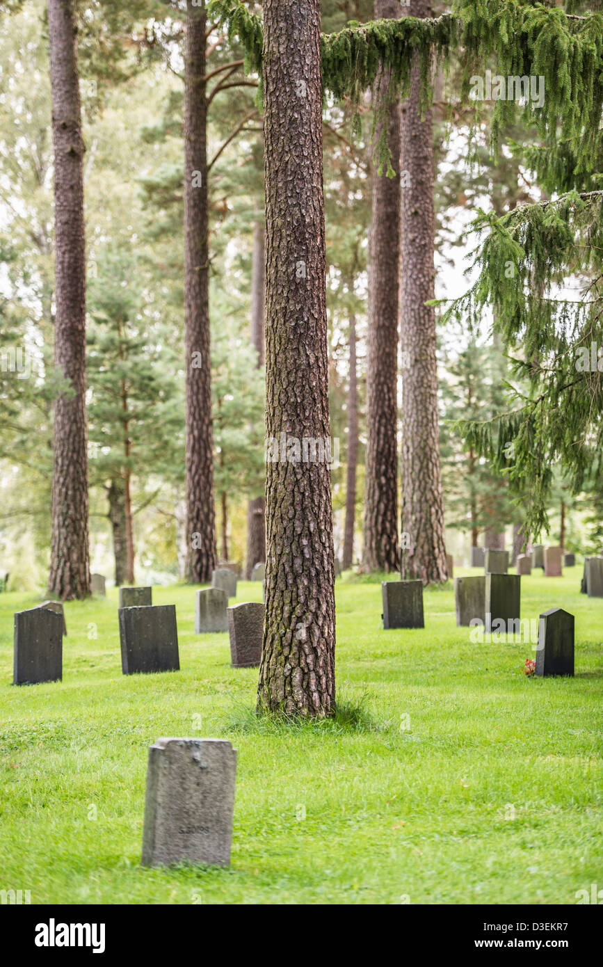Grave stones and trees at skogskyrkogarden forest cemetery in Stockholm ...