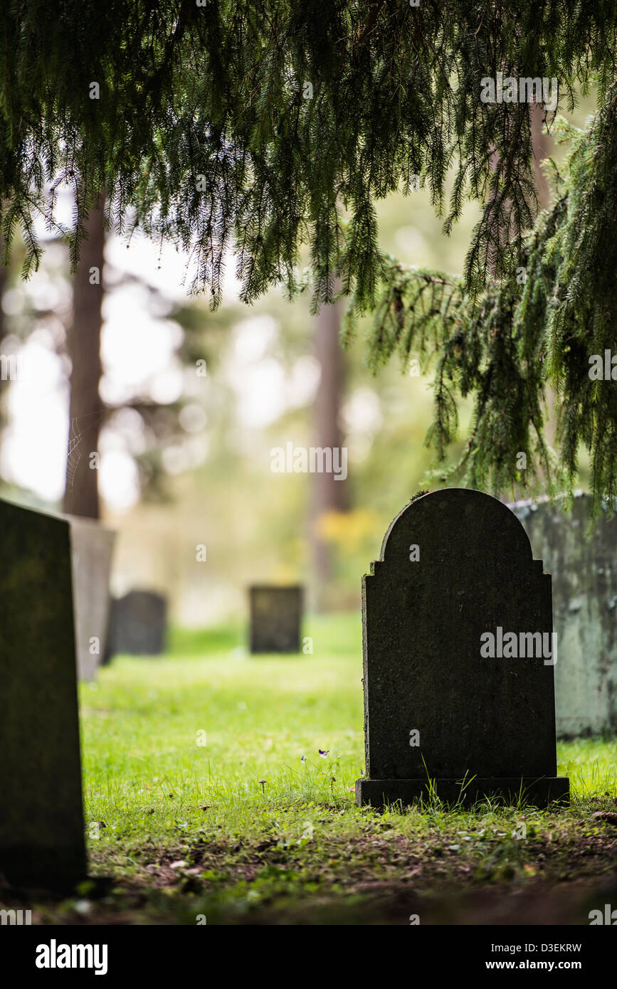 Tree trunk grave headstone hi-res stock photography and images - Alamy