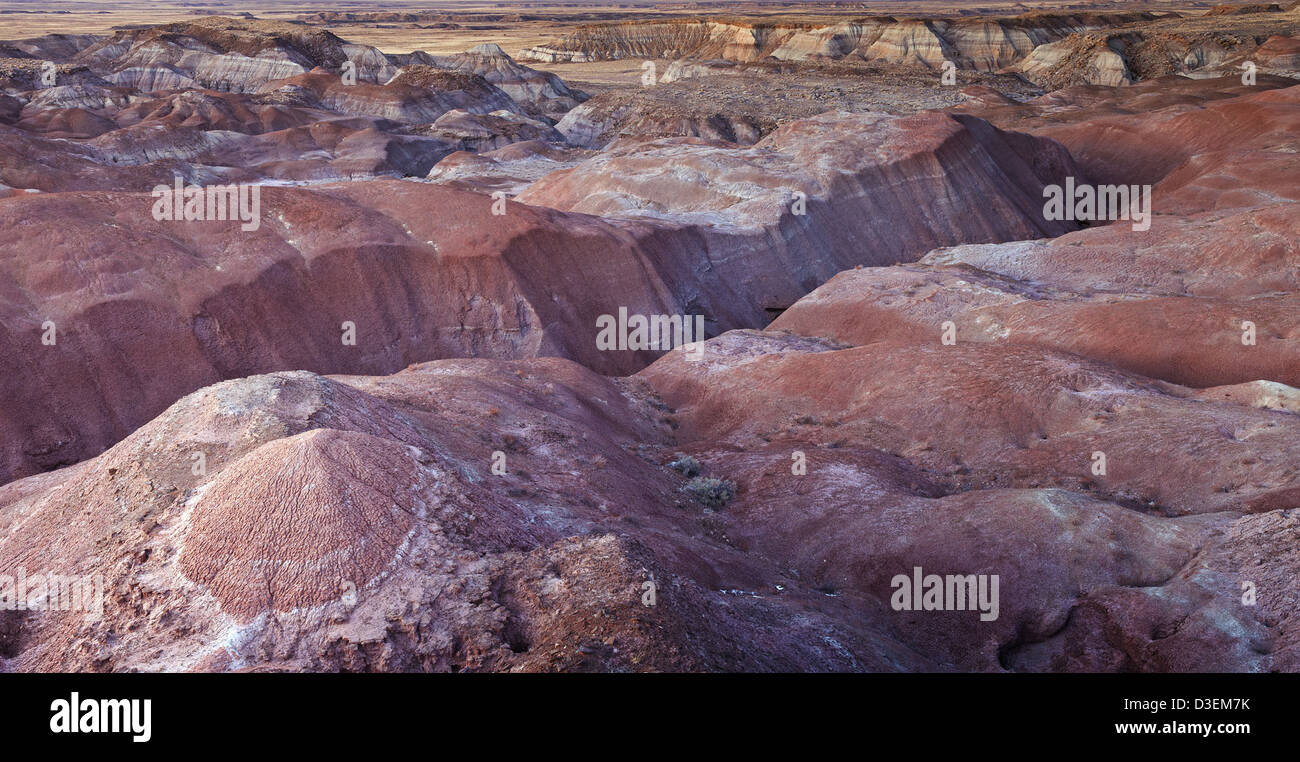 The expansion of lands in Petrified Forest National Park in 2012, led ...