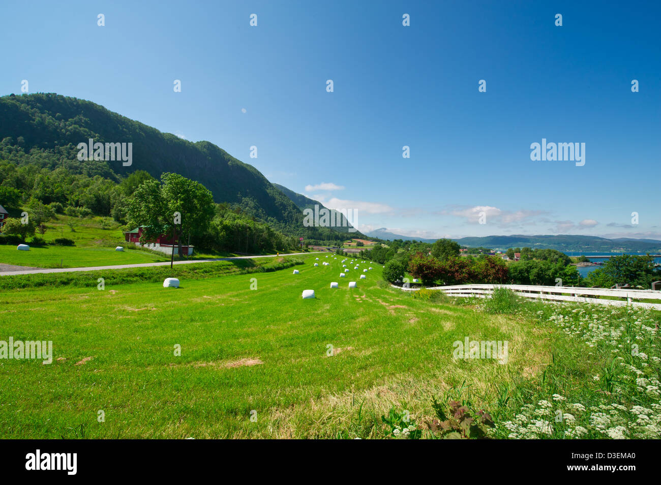 Tree in village green hi-res stock photography and images - Alamy