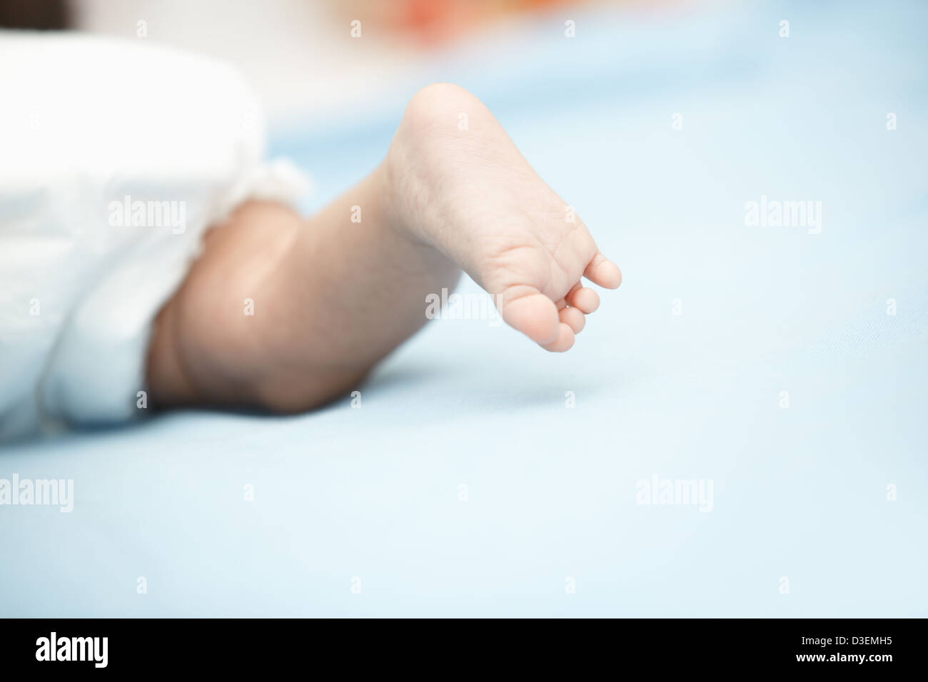 Close-up photo of the newborn leg Stock Photo - Alamy