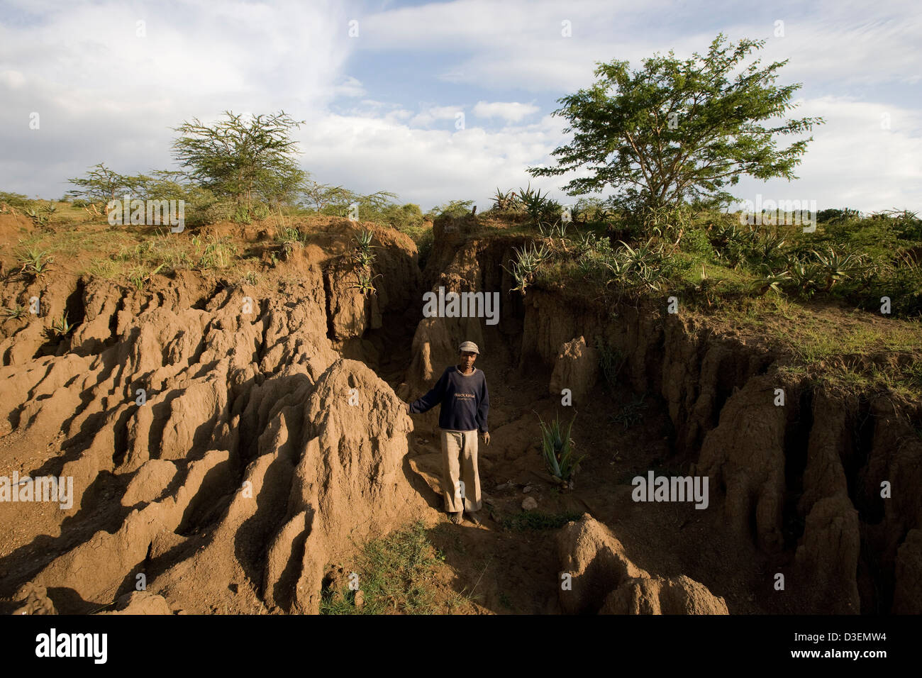 WOLAYITA ZONE, SOUTHERN ETHIOPIA, 21ST AUGUST 2008: Toma Belate stands ...