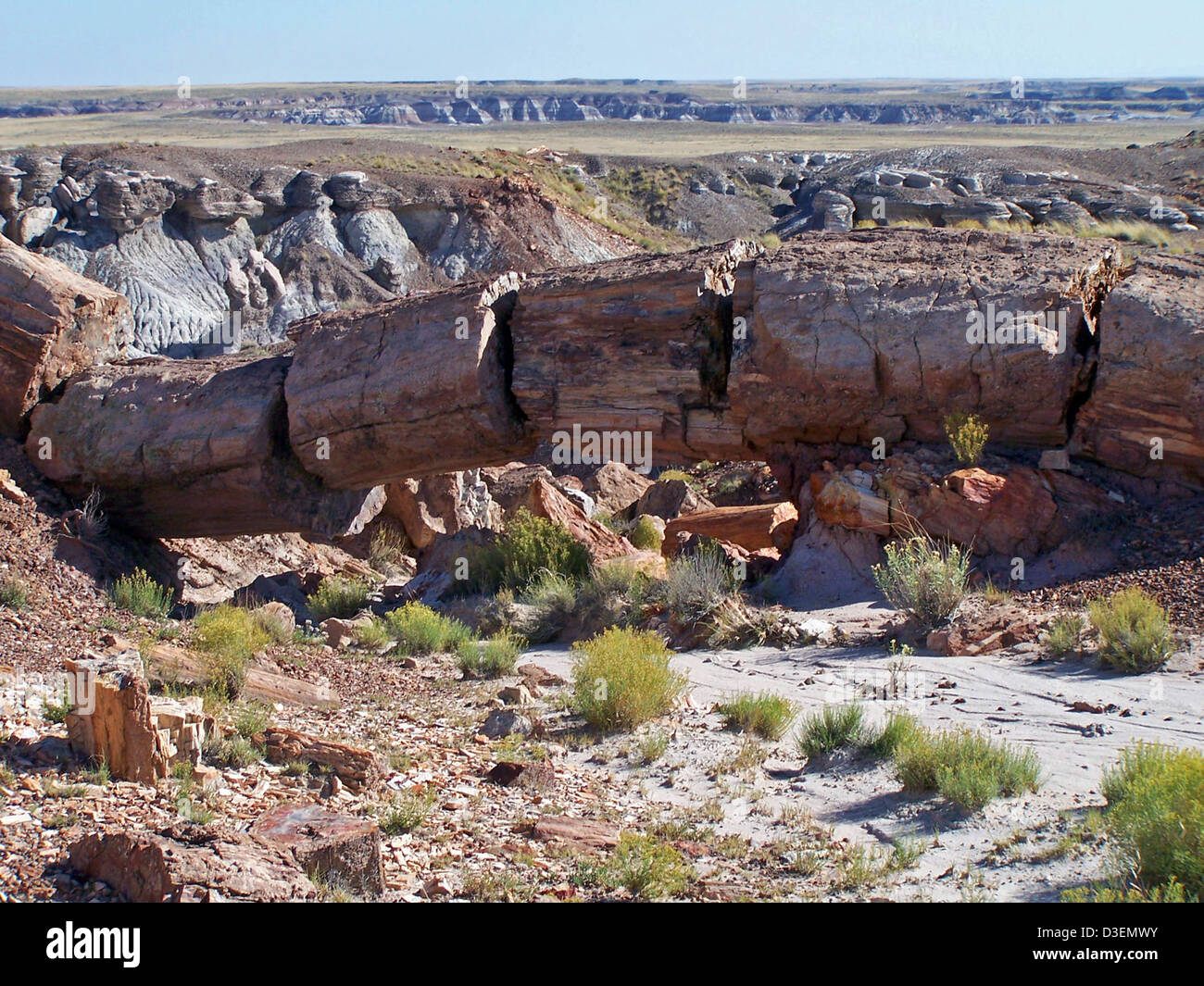Keystone Arch in Petrified Forest National Park is a natural geological ...