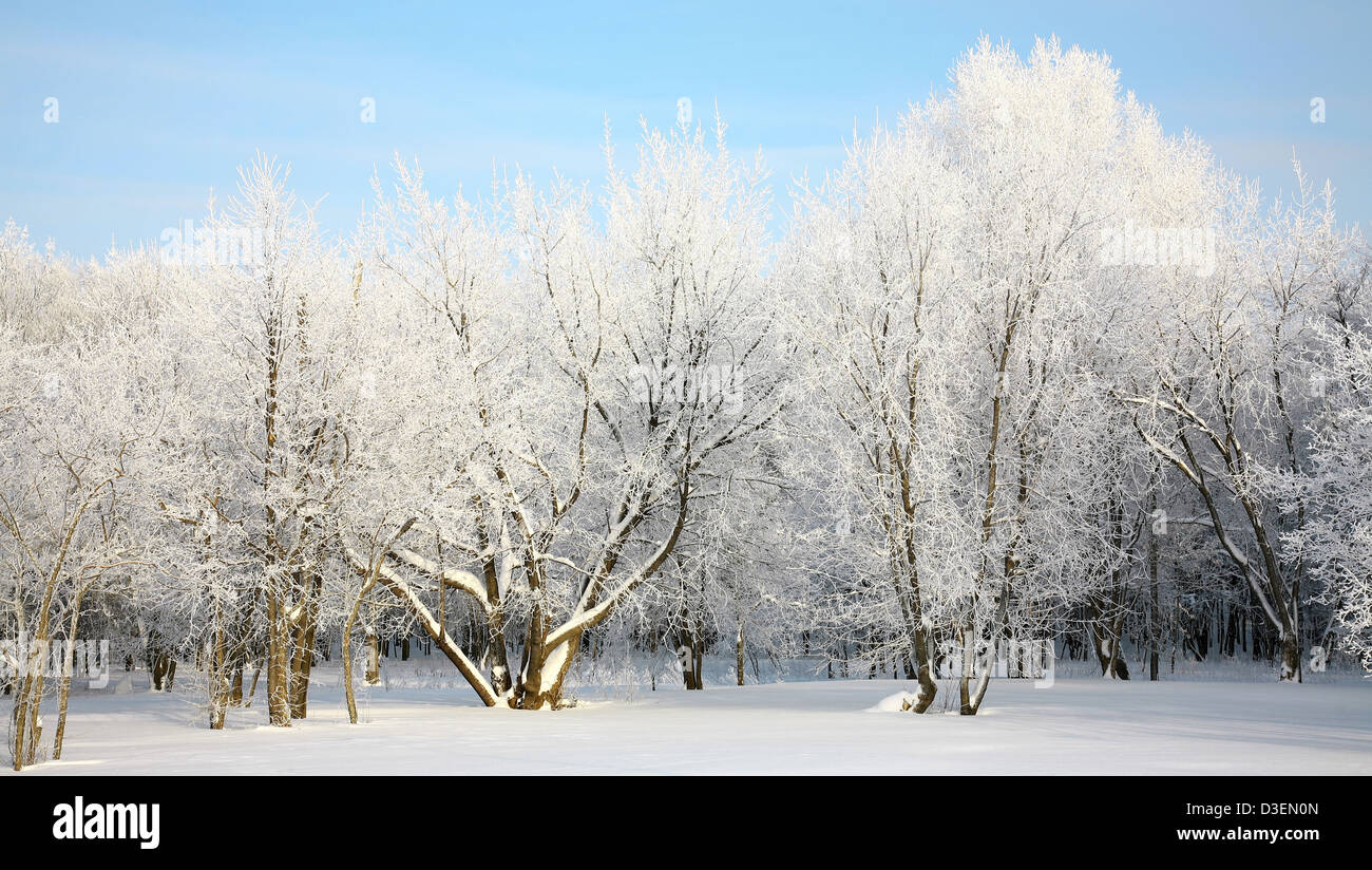 Russian winter landscape hi-res stock photography and images - Alamy