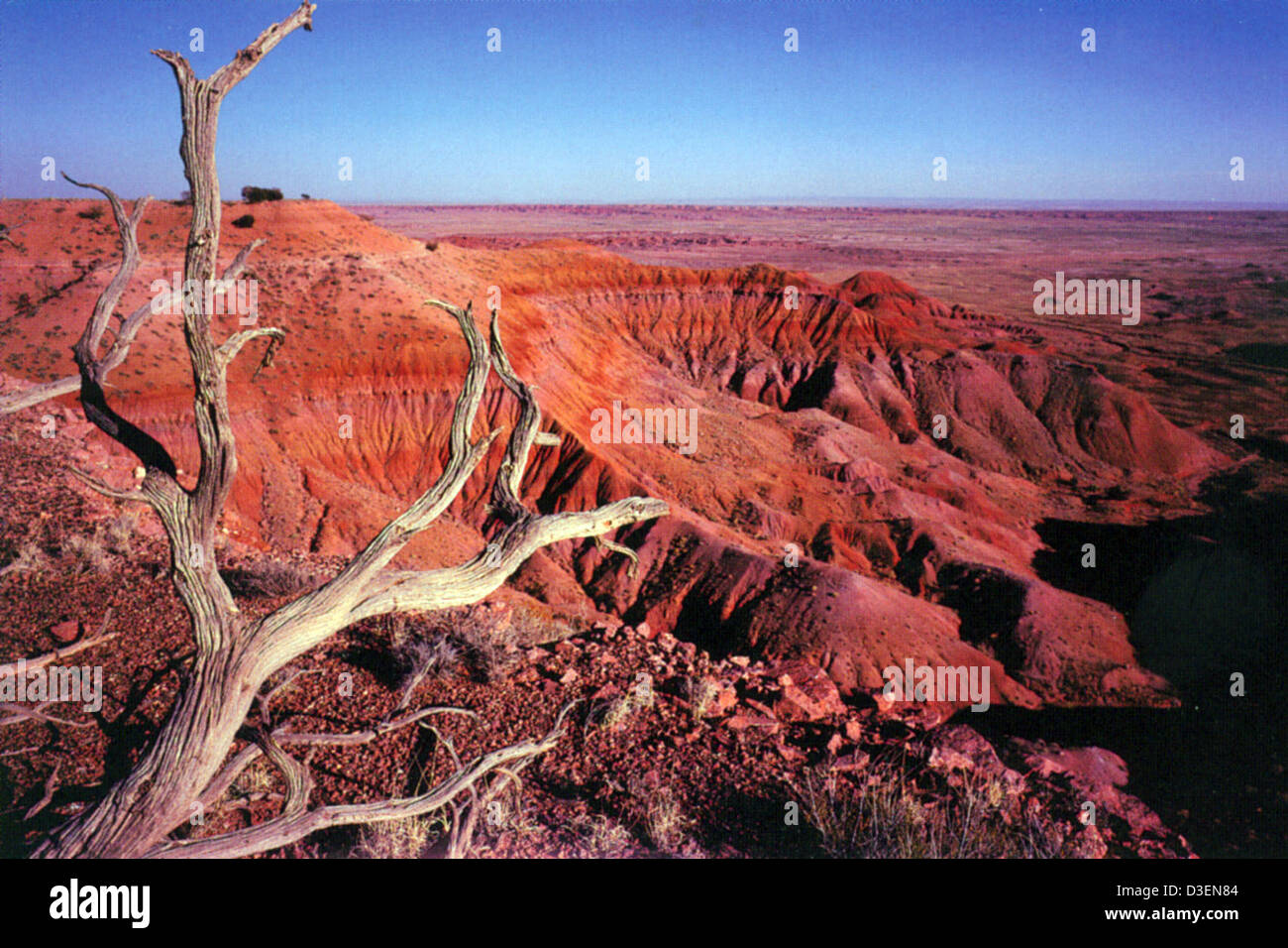 Petrified Forest National Wilderness Area, Owl Rock Member, Chinle ...
