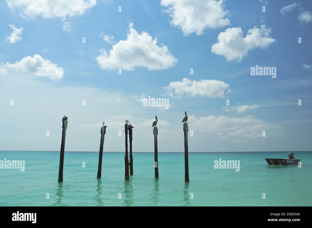 Birds resting on supports on the beach in Aruba Stock Photo - Alamy
