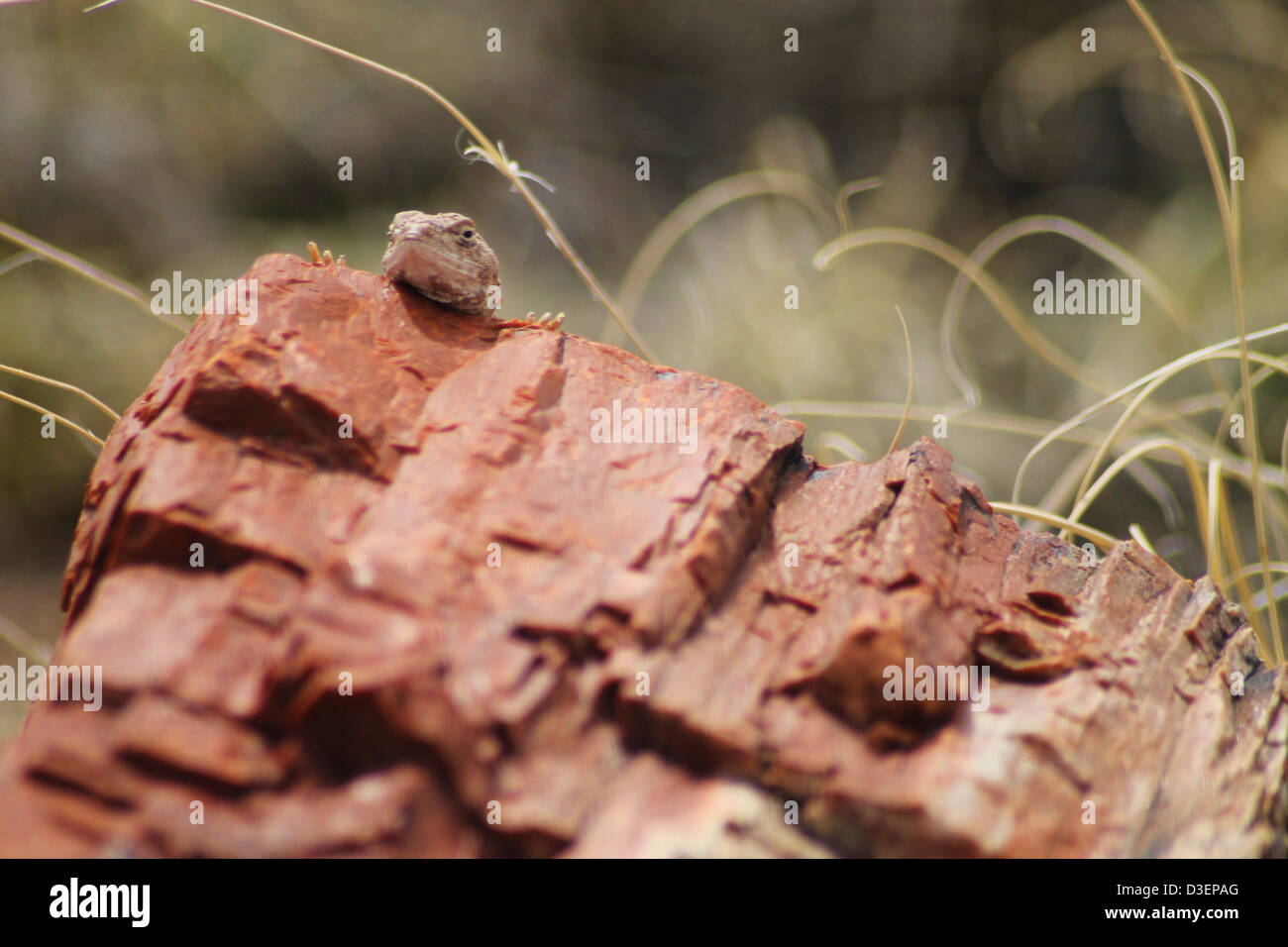 7076 hi-res stock photography and images - Alamy