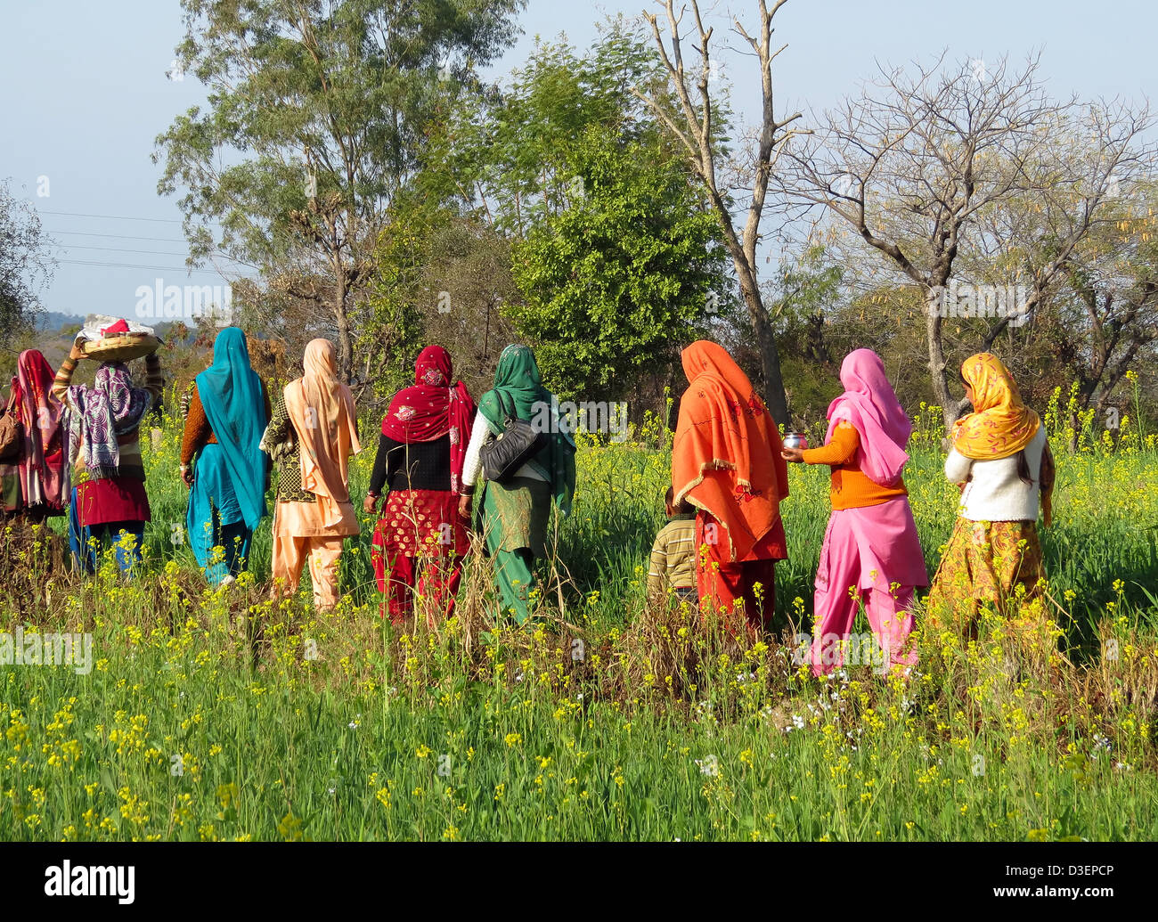 Indian Agriculture Stock Photos & Indian Agriculture Stock Images - Alamy