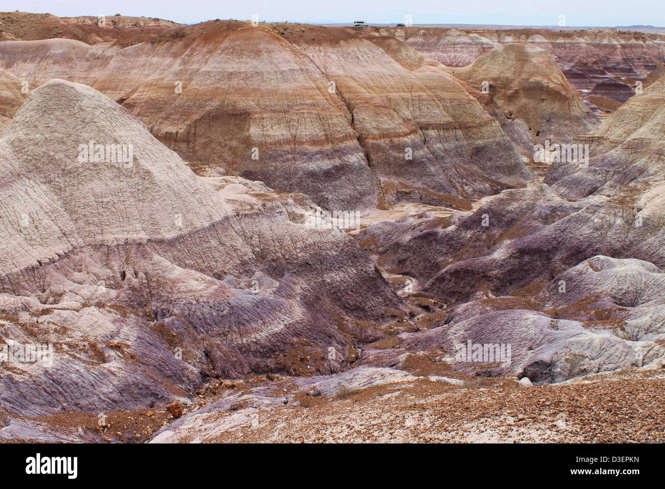 6979 hi-res stock photography and images - Alamy