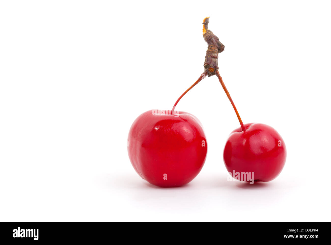 Chinese cherry apples hi-res stock photography and images - Alamy
