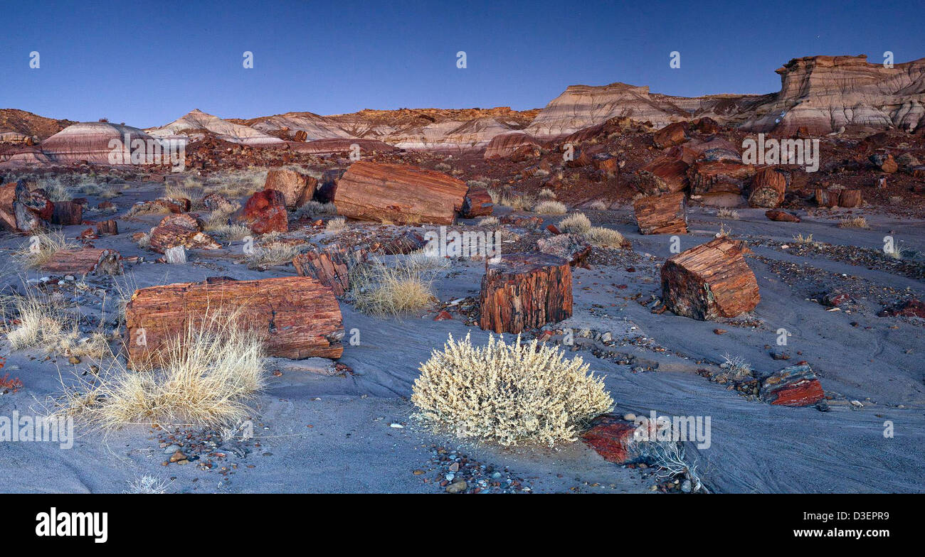 The Petrified Forest National Park features ancient fossilized trees ...