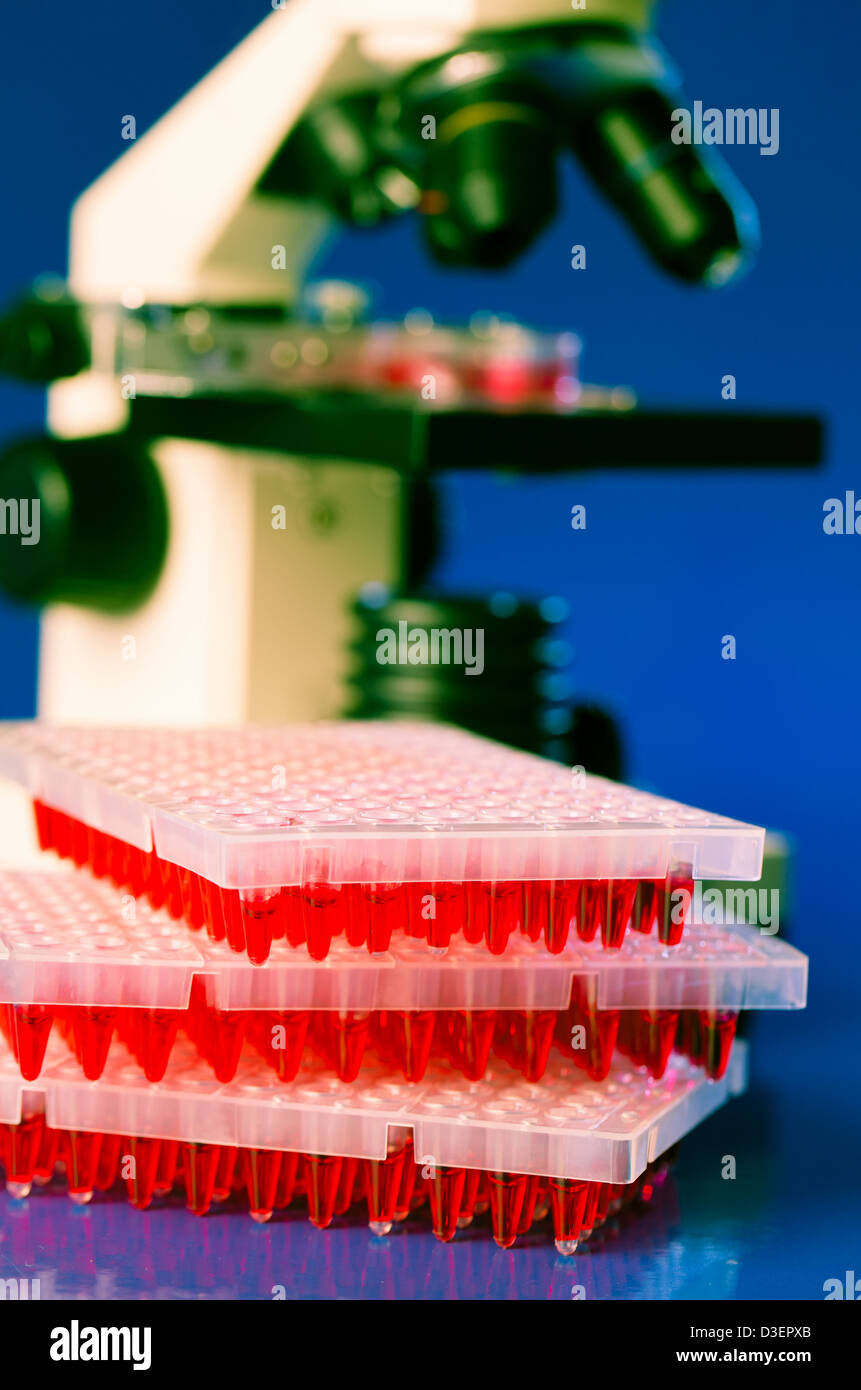 Microscope plate hi-res stock photography and images - Alamy