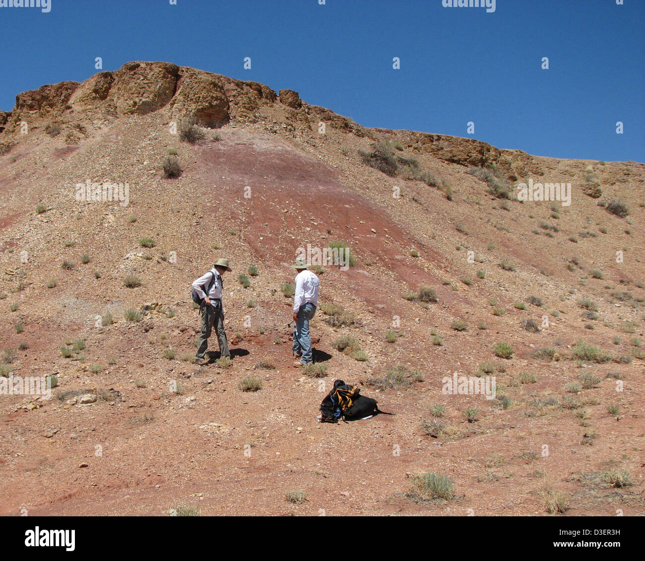 The Mesa Redondo Member of the Chinle Formation in Petrified Forest ...