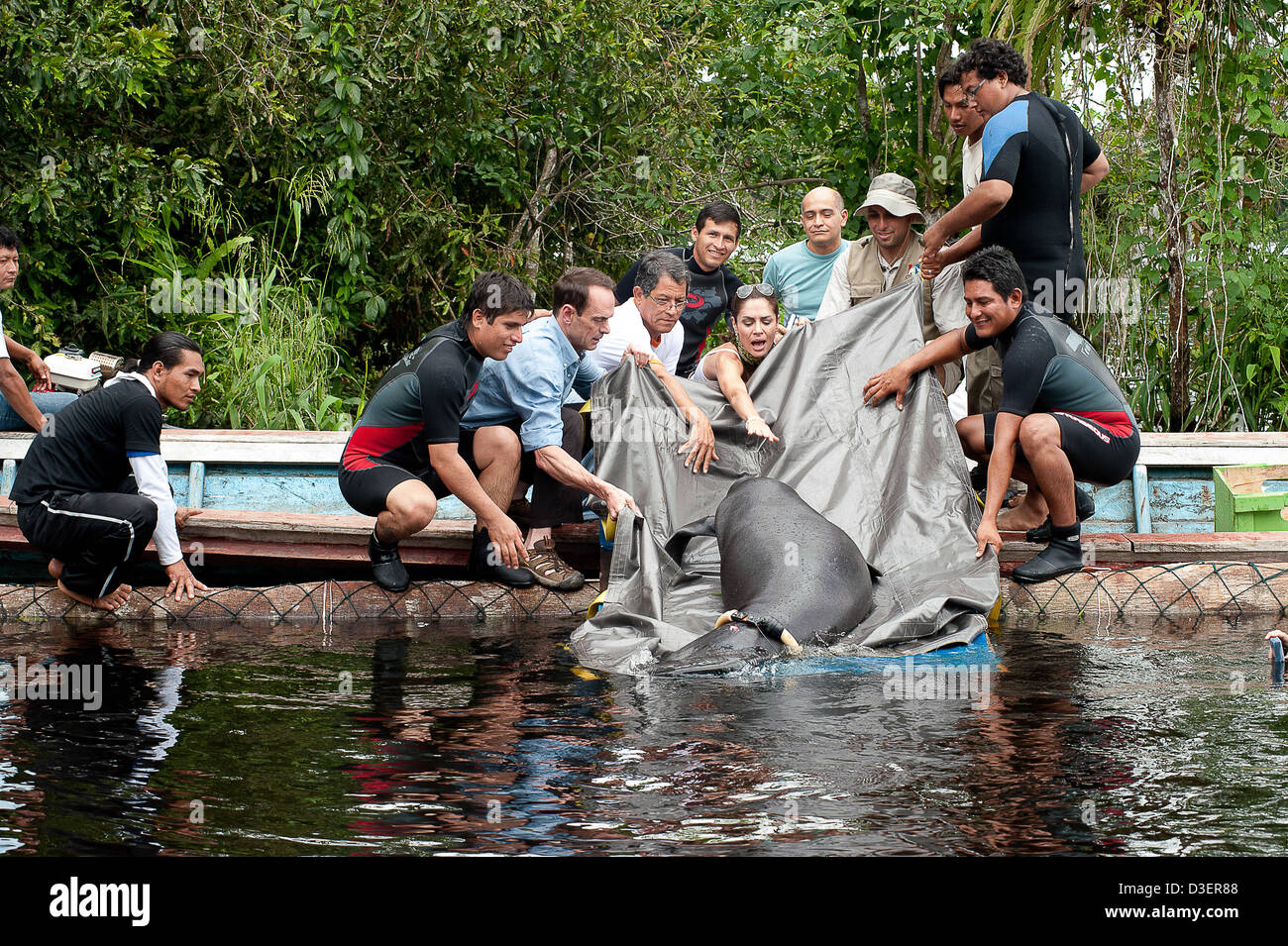 Manatee boat hi-res stock photography and images - Alamy