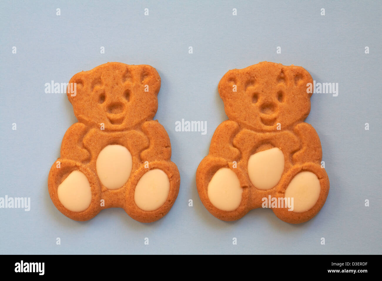 two Teddy bear biscuits isolated on pale blue background - concept of ...