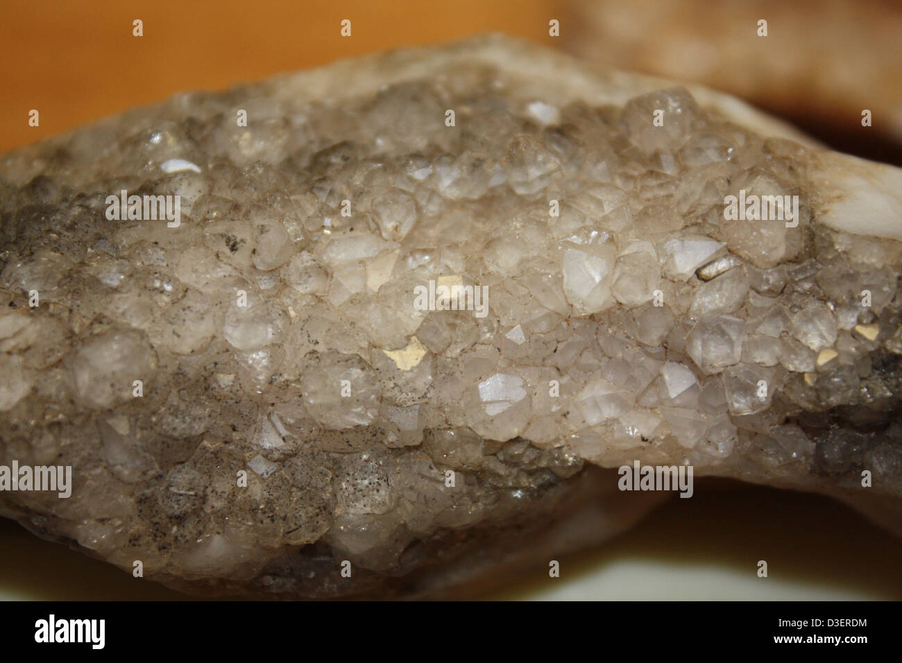 Quartz crystals embedded in petrified wood at Petrified Forest National ...