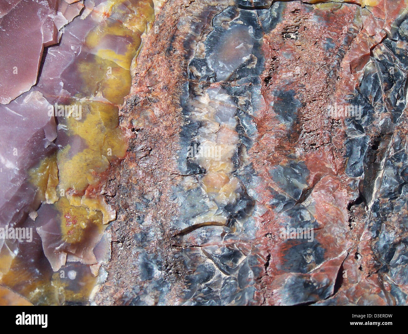 Petrified Forest National Park in Arizona is known for its remarkable ...