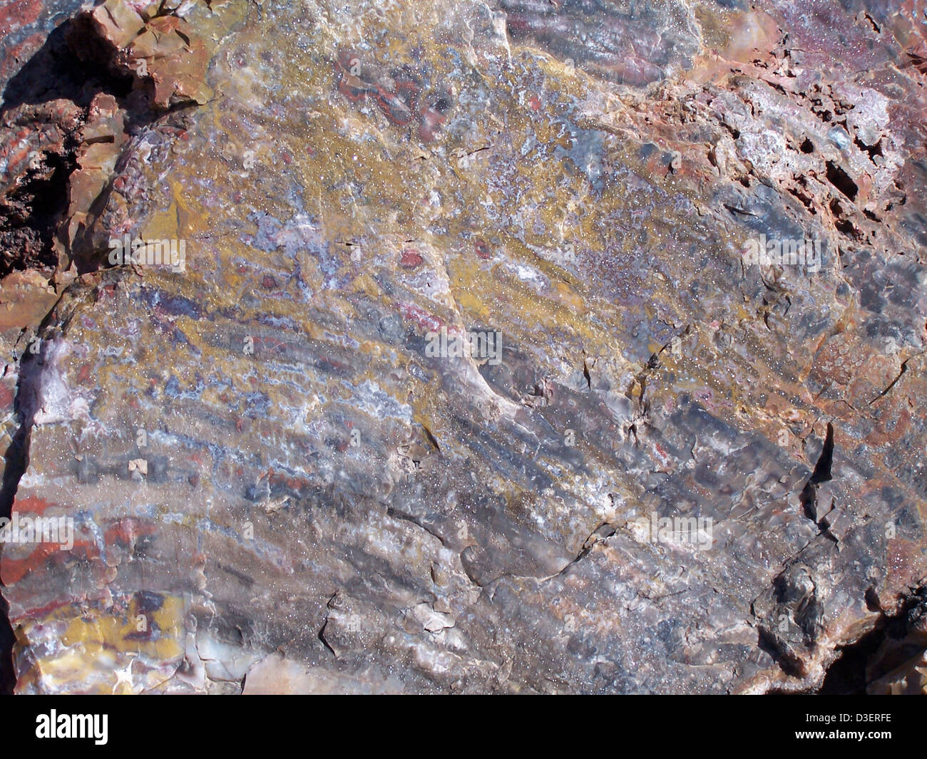 Petrified Forest National Park in Arizona is home to impressive ...