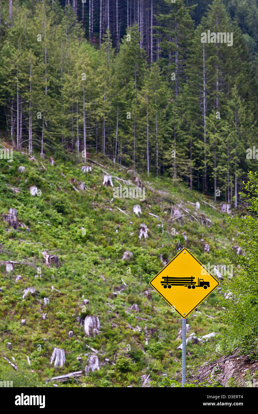 Traffic signal in front of a harvested plot of forest that is used for ...