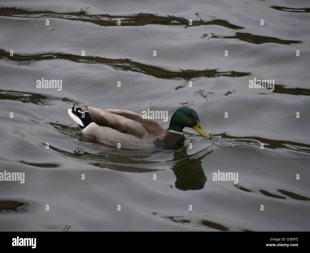 Freshney river hi-res stock photography and images - Alamy