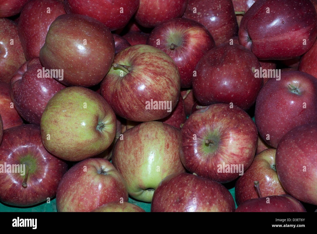 red delicious variety apples Stock Photo - Alamy