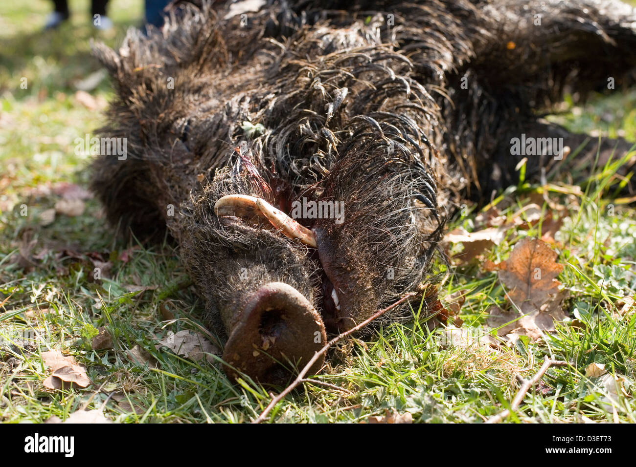 95 kilograms hi-res stock photography and images - Alamy