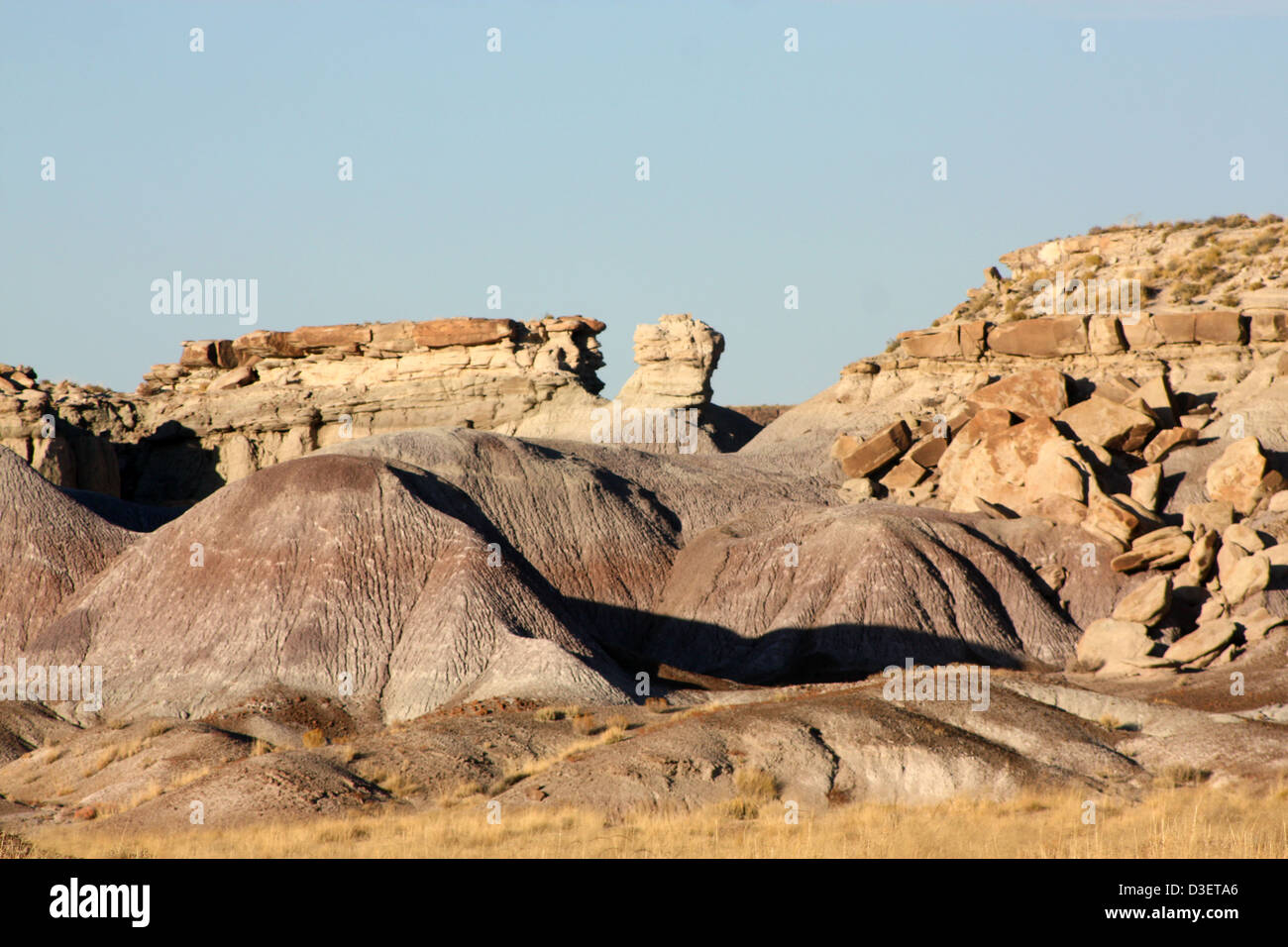 Rainbow Forest in Petrified Forest National Park is known for its ...
