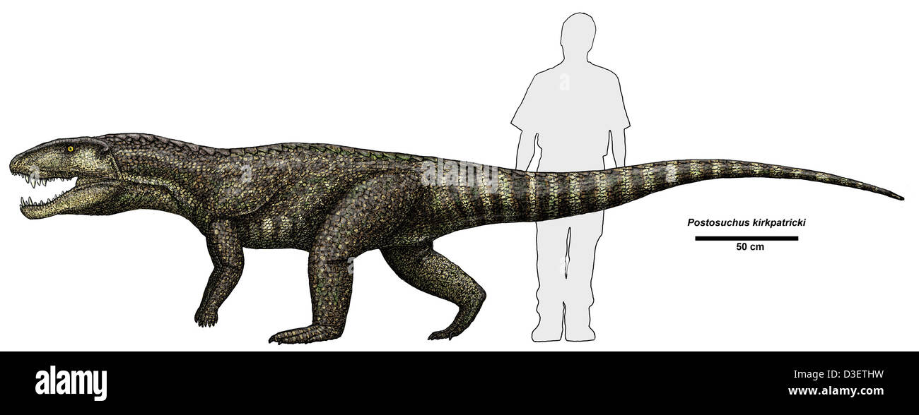 Postosuchus hi-res stock photography and images - Alamy
