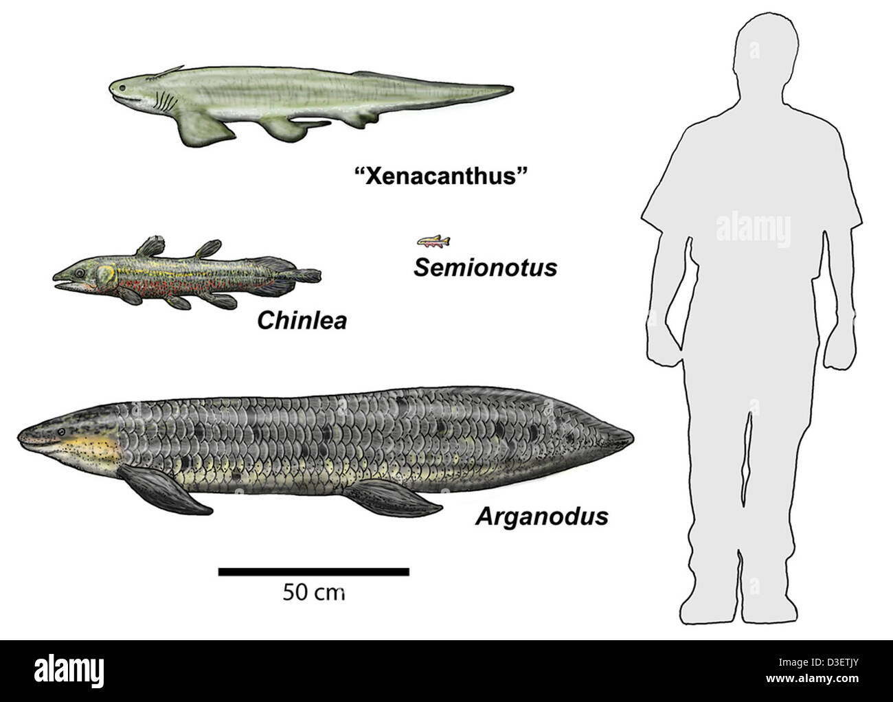 The Chinle Formation in Petrified Forest National Park contains ...