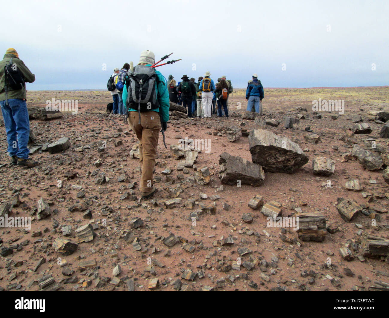 Eric's Lacey Point Hike at Petrified Forest National Park offers hikers ...