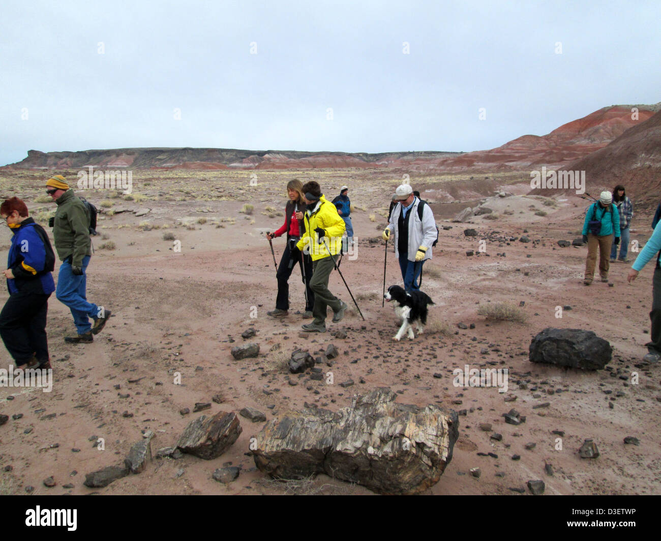 Eric's Lacey Point hike in Petrified Forest National Park offers ...