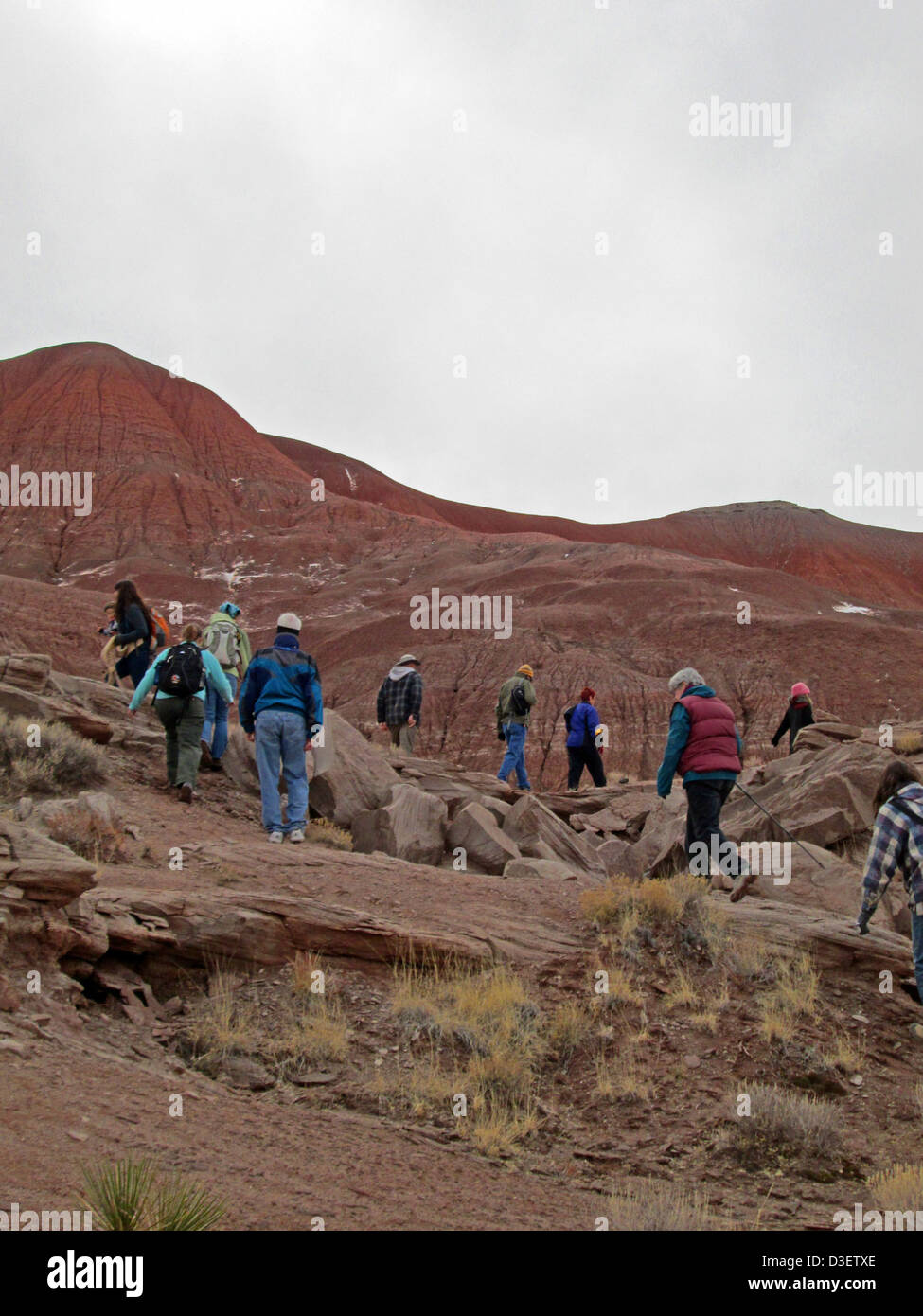 Lacey point hi-res stock photography and images - Alamy