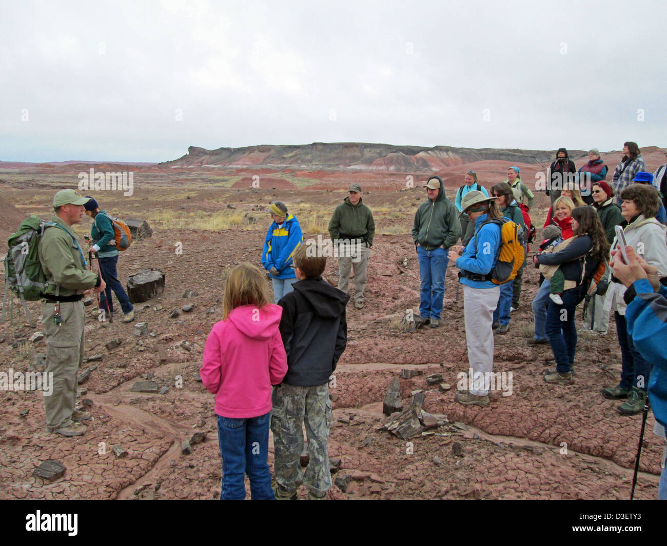 Ranger-led hikes, like the one to Lacey Point in Petrified Forest ...