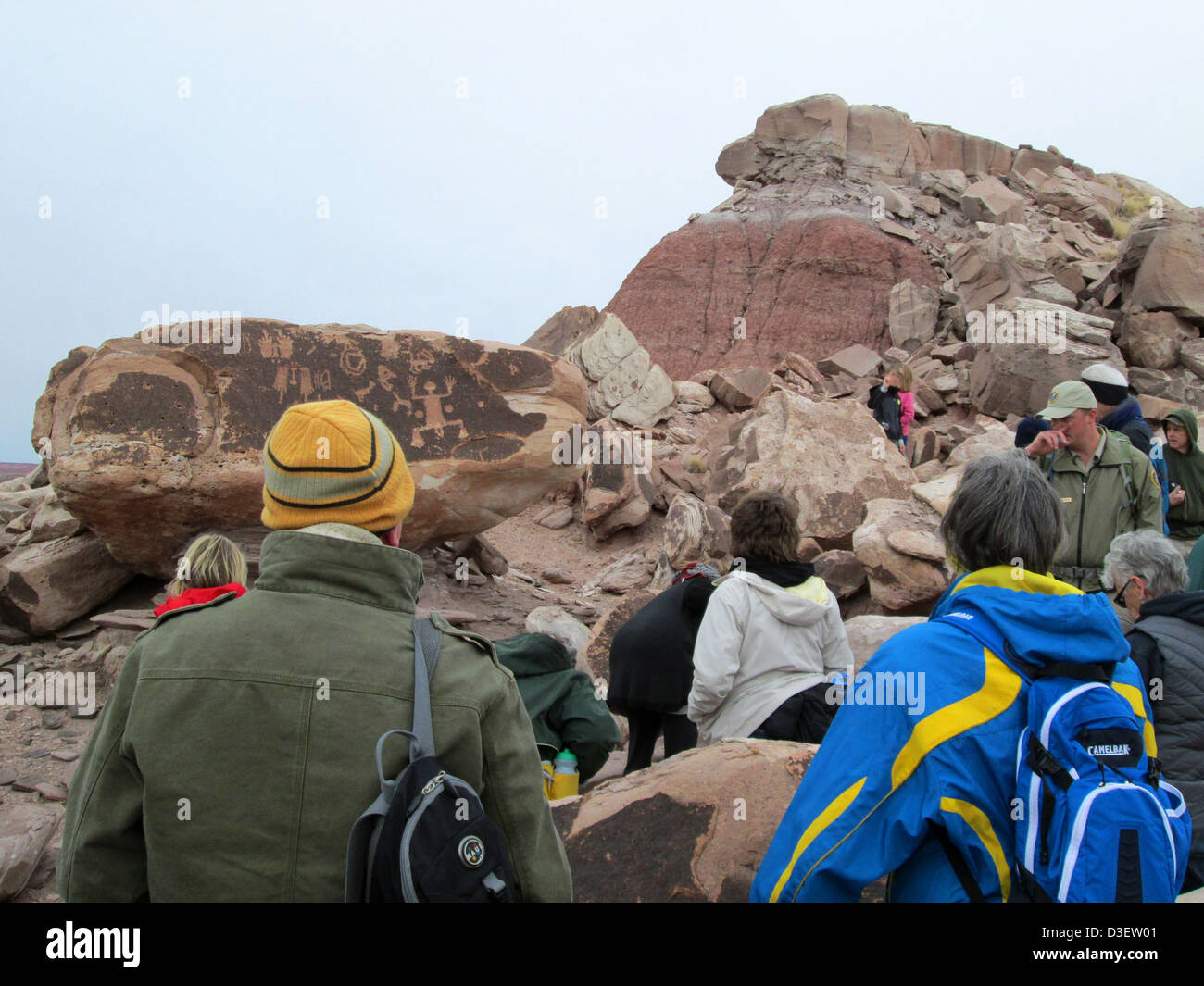 A view from Lacey Point in Petrified Forest National Park, where ...