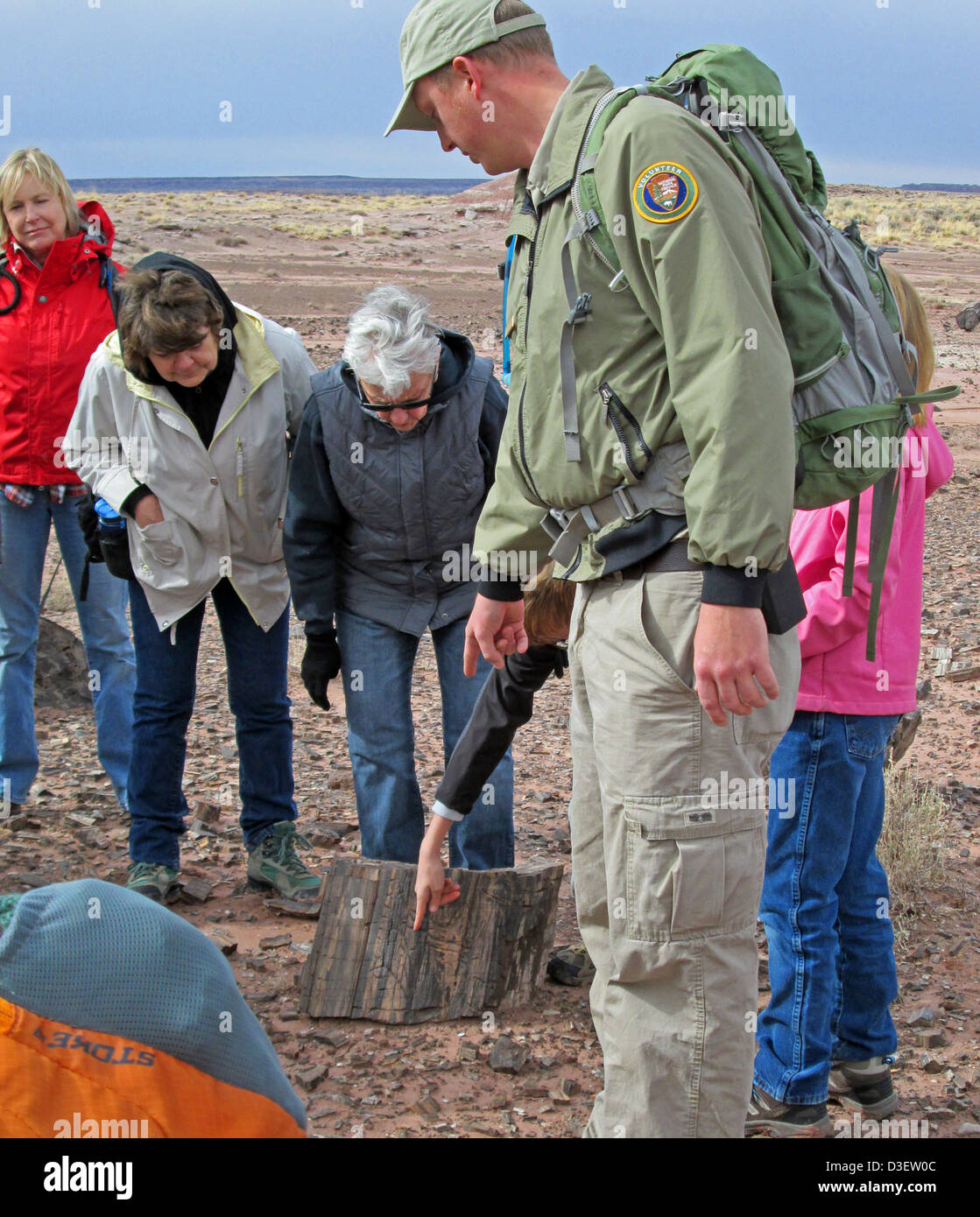 Eric’s Lacey Point Hike in Petrified Forest National Park offers ...