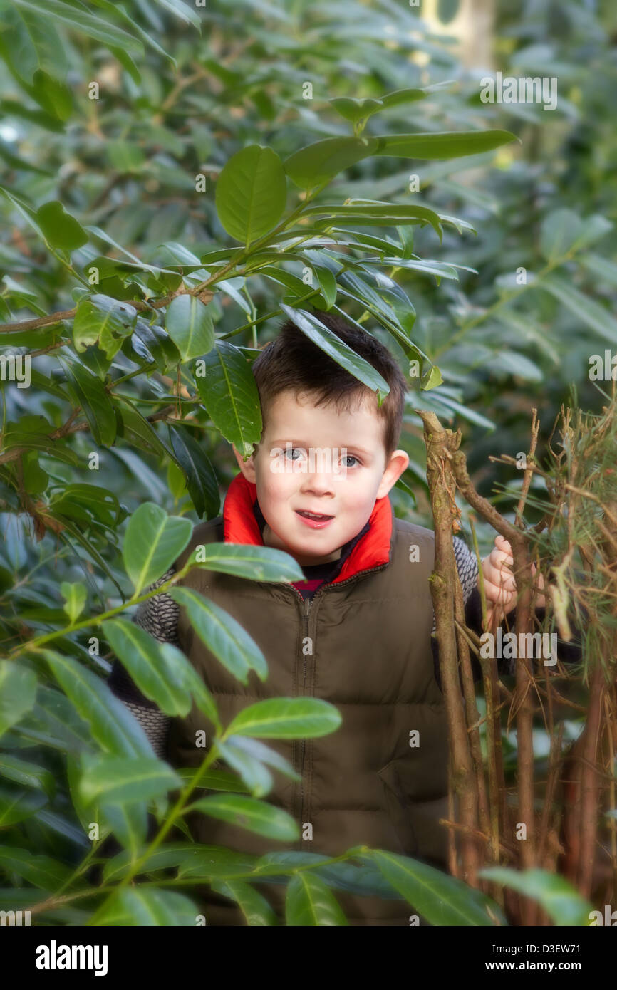 happy child peeking through a gap in the tree Stock Photo - Alamy