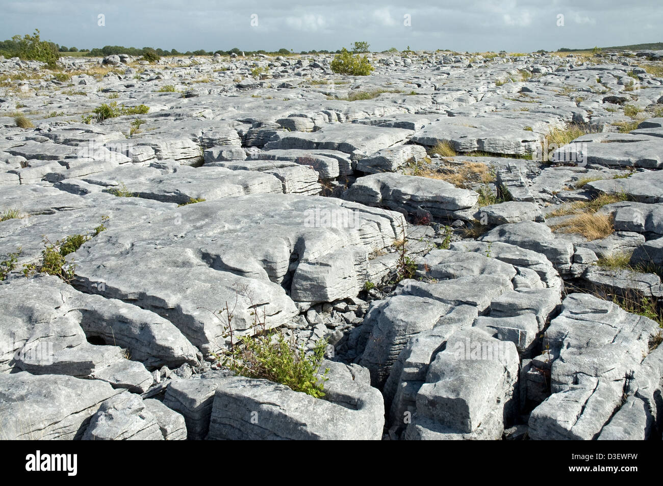 Limestone Pavements, The Burren, Co Clare, Ireland Stock Photo - Alamy