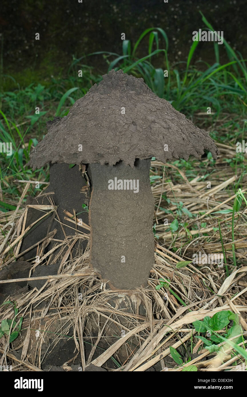 The nigeria hi-res stock photography and images - Alamy
