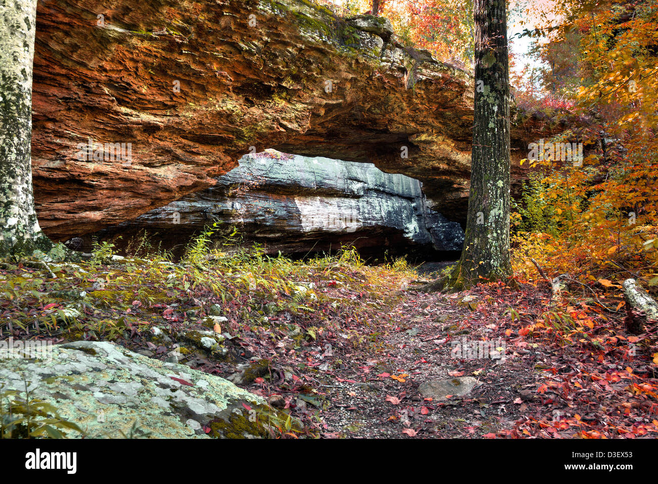 Arkansas landscape hi-res stock photography and images - Alamy
