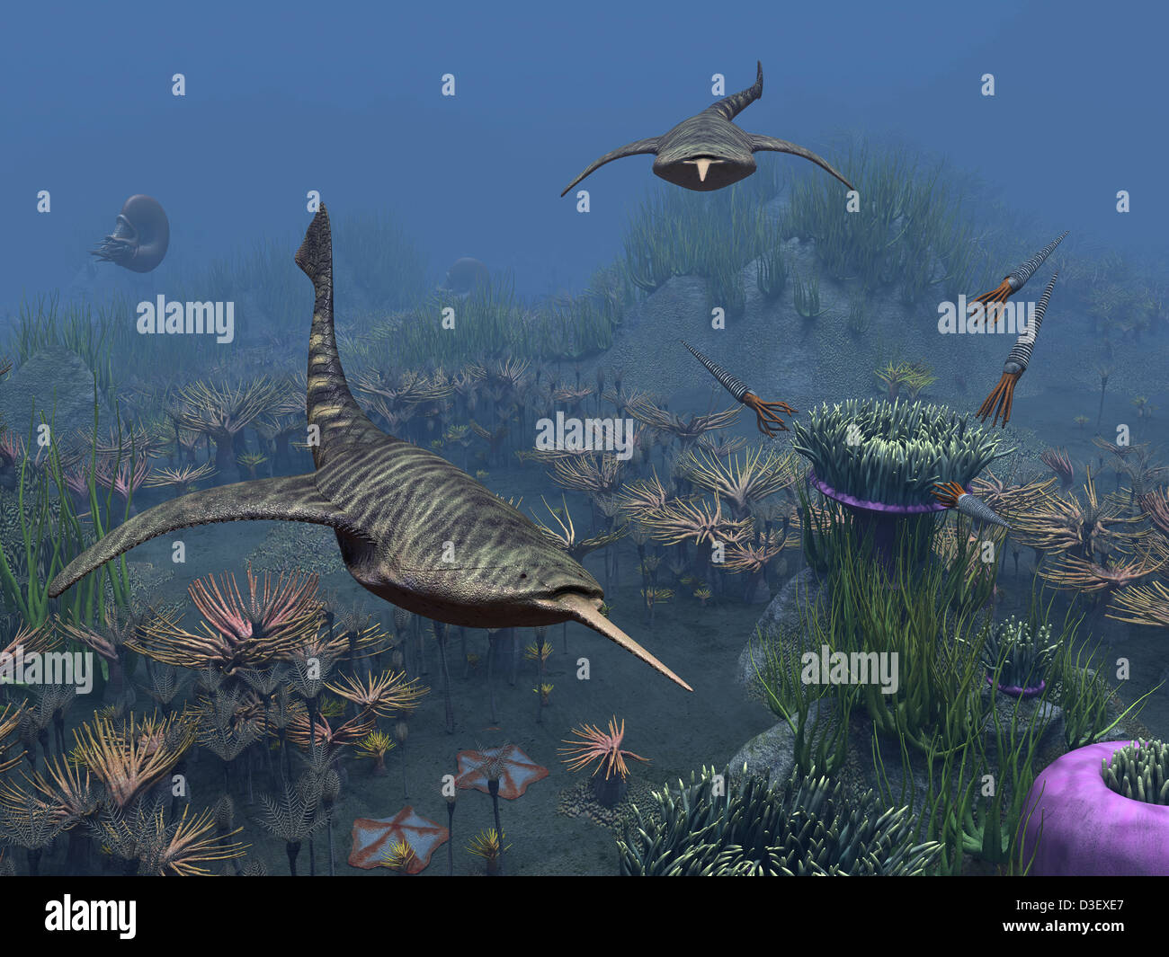 Devonian fish hi-res stock photography and images - Alamy