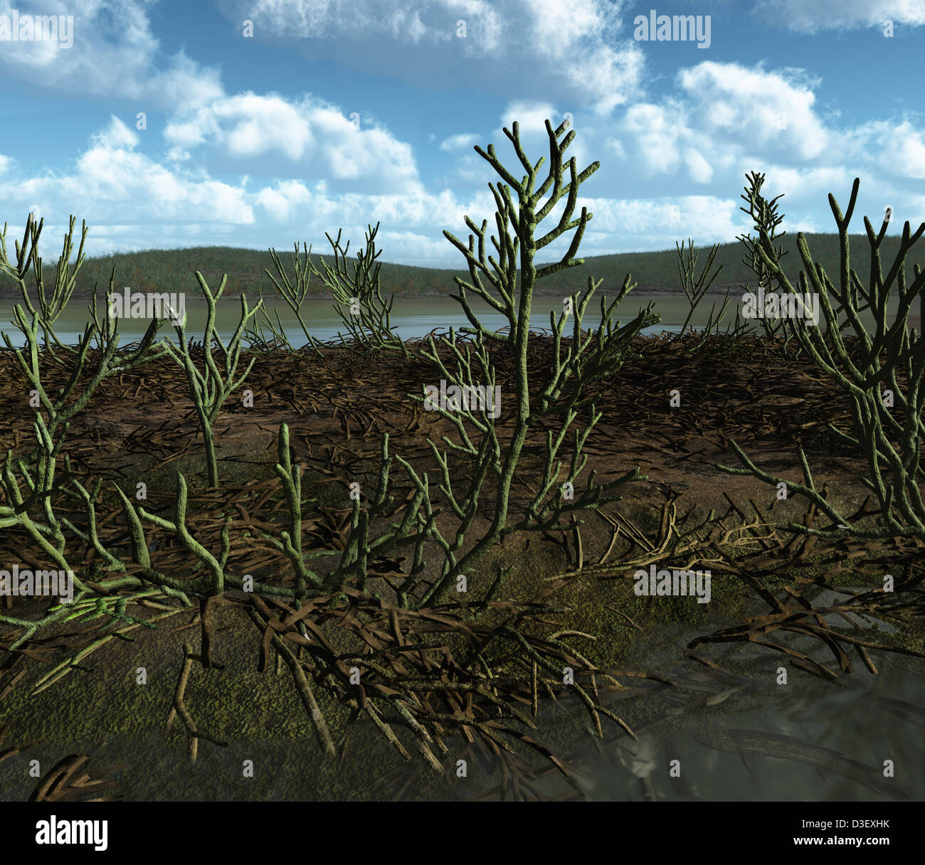 Prehistoric swamp High Resolution Stock Photography and Images - Alamy