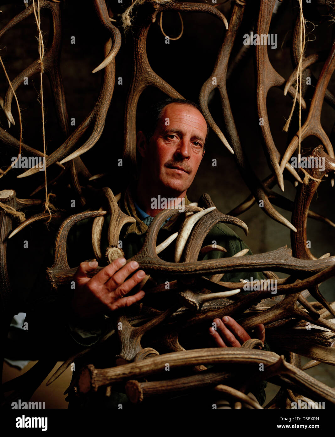 Patrick "Nious" Jamet has more than 300 deer antlers piled in his attic ...