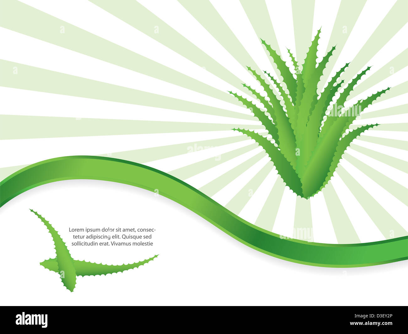 special green background with aloe vera design Stock Photo - Alamy