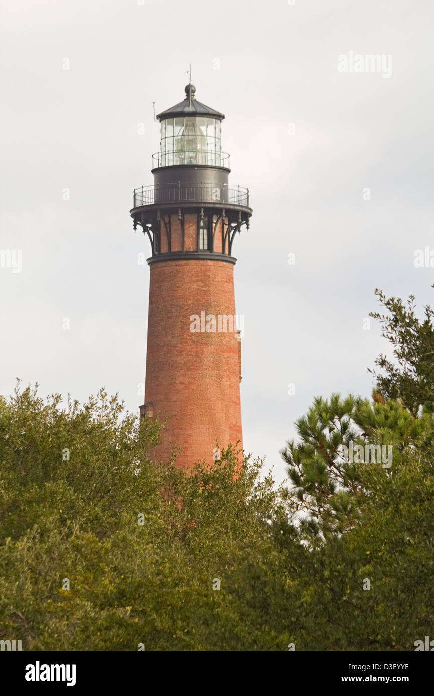 The Currituck Beach Lighthouse and pine trees near Corolla, North ...