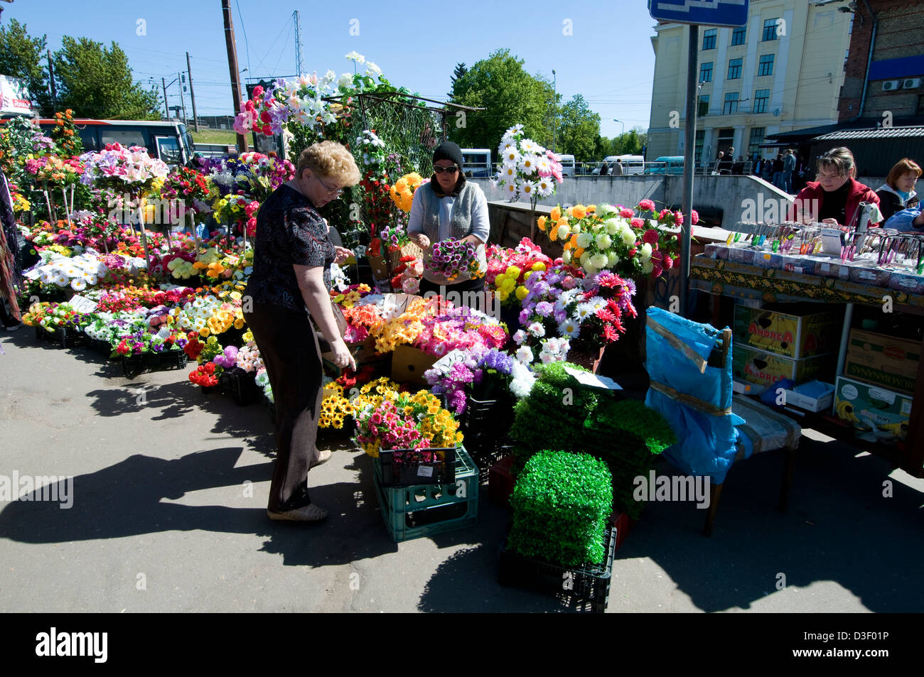Baltic flowers hi-res stock photography and images - Alamy