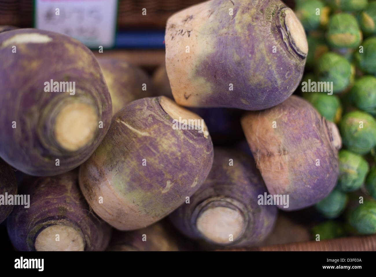 Fresh turnips hi-res stock photography and images - Alamy
