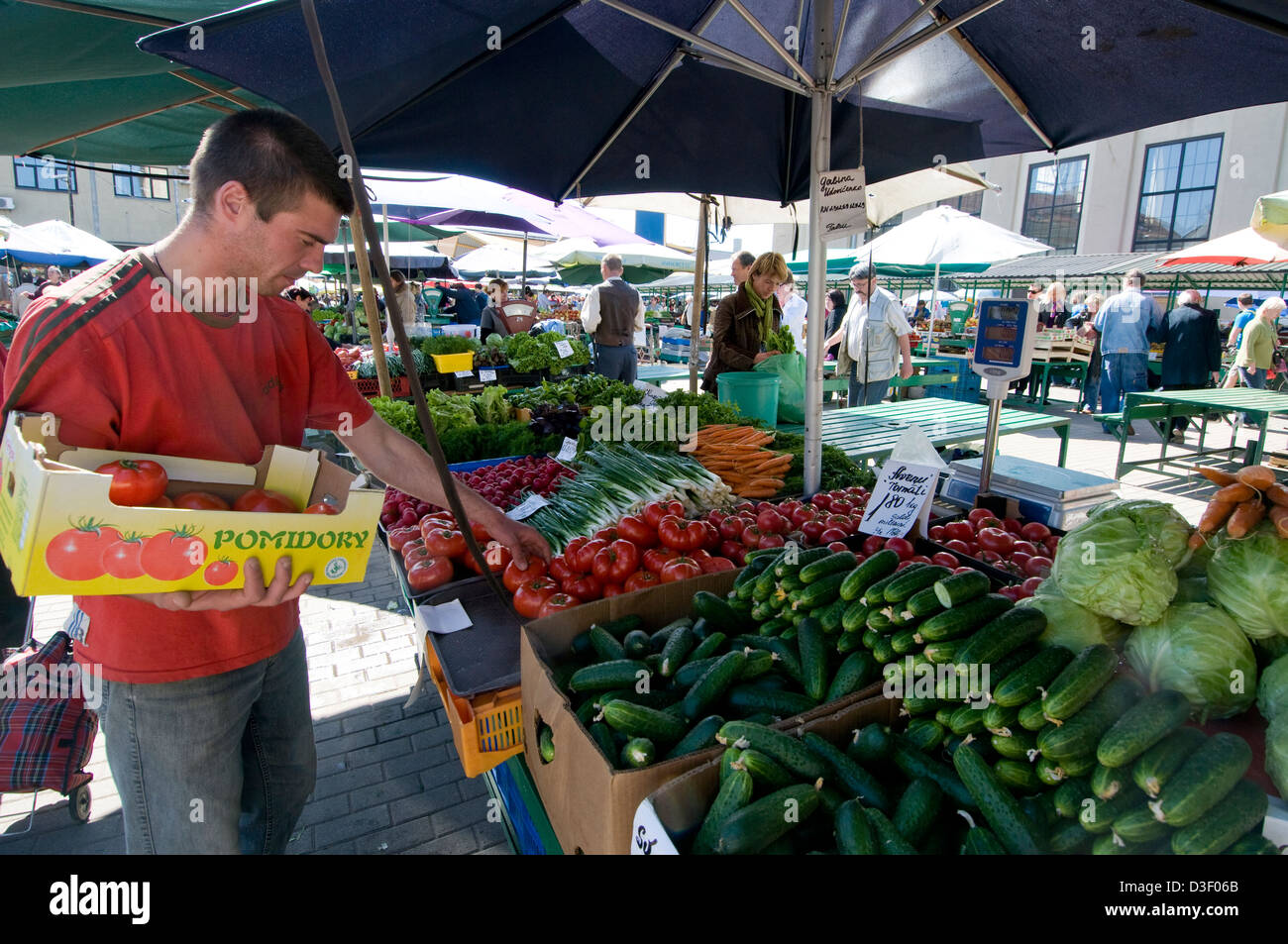 A stallholder with his box of tomatoes at the daily market at Riga ...