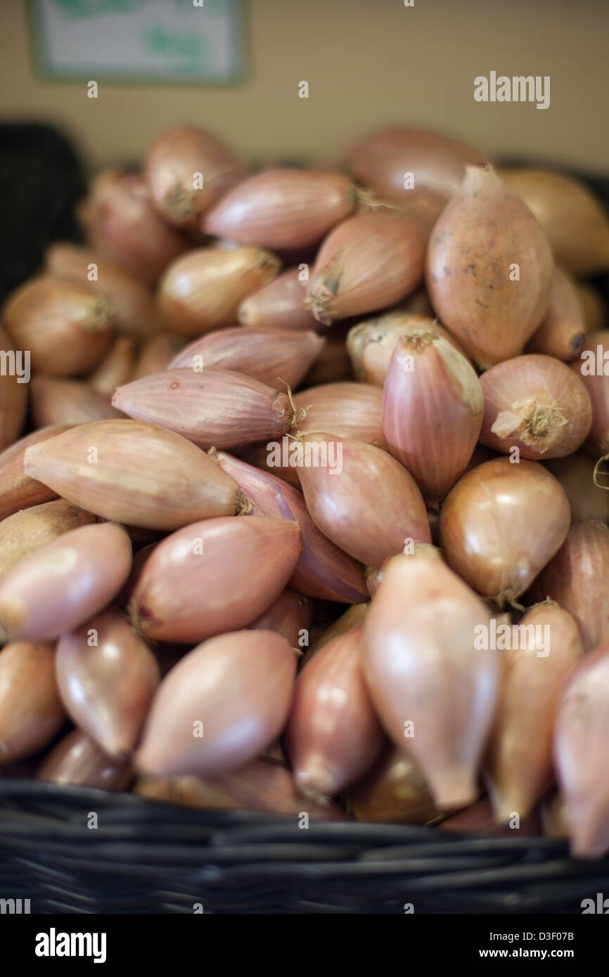 Fresh shallots on a stall in a farmers shop Stock Photo - Alamy